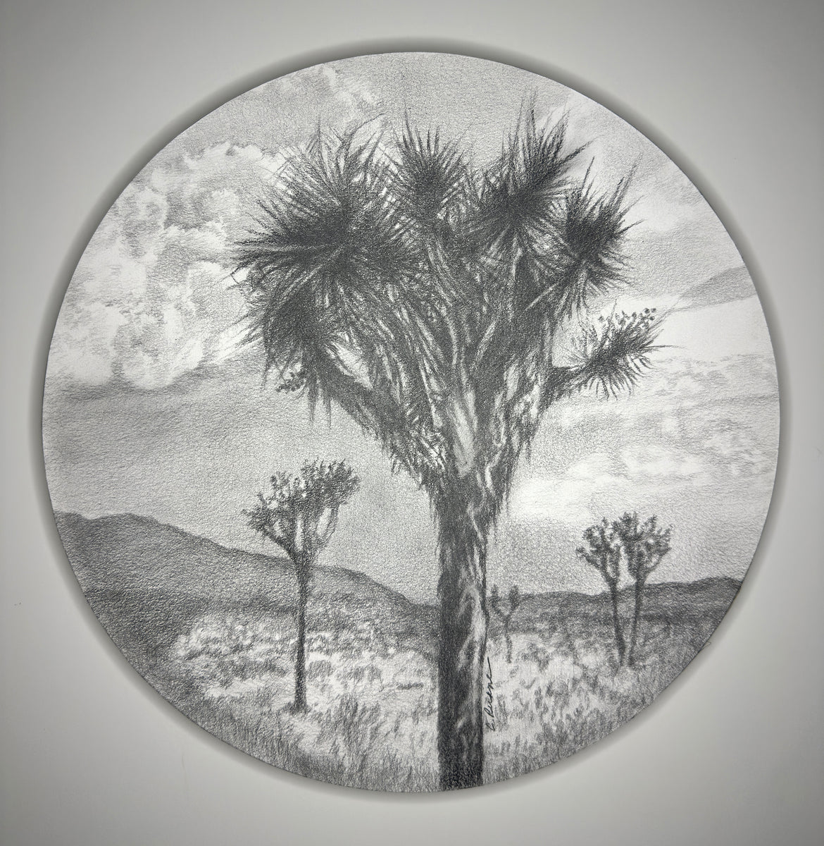 (Catherine Ruane) Desert Family 1, 2025 – HeyThere Projects