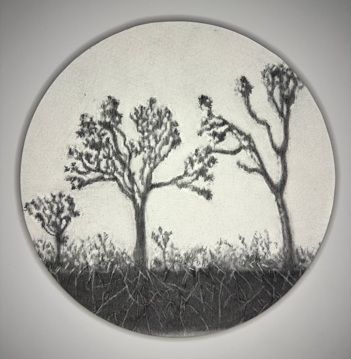 (Catherine Ruane) Desert Family 3, 2025 – HeyThere Projects